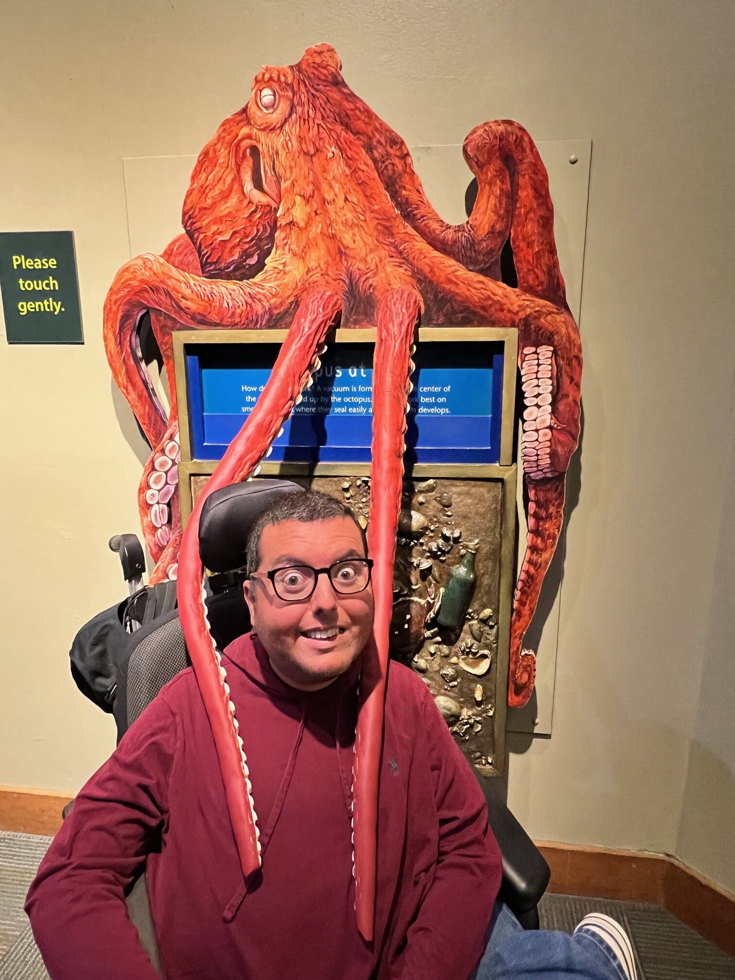 11 Wheelchair Accessible Things to Do in Seattle, Washington